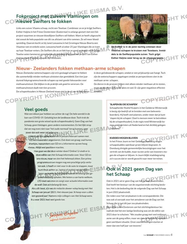 Het Schaap nr. 12 2020 - pag. 5 • Het Schaap