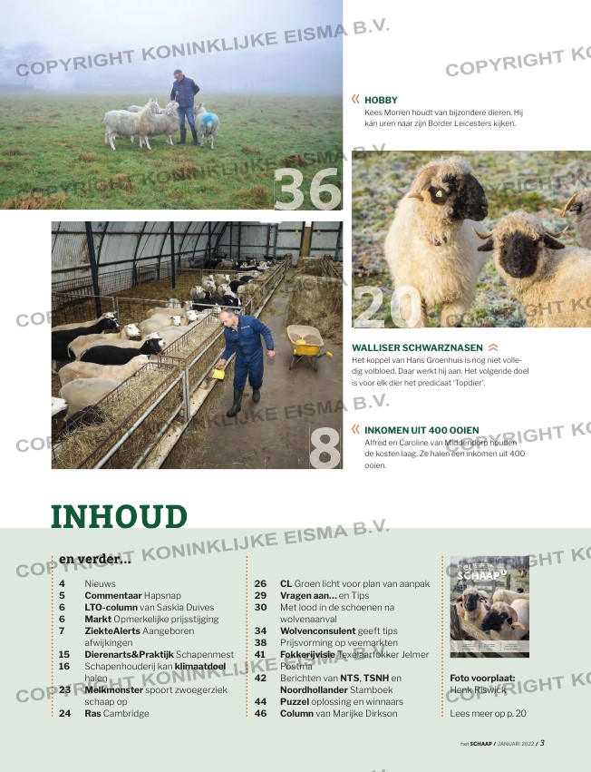 Het Schaap nr. 1 2022 - pag. 3 • Het Schaap
