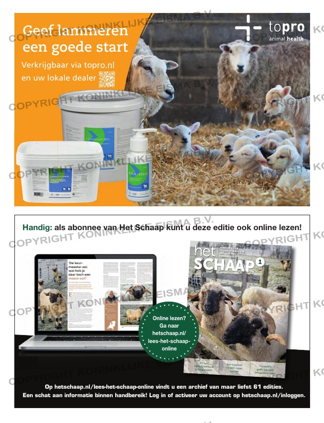 Het schaap editie 12 - pag. 32 • Het Schaap