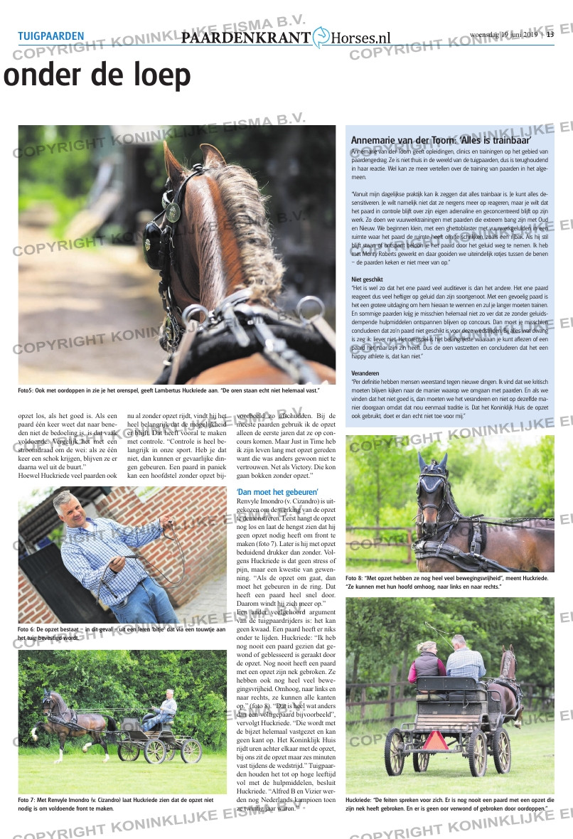 Paardenkrant 25 - 2019 - pag. 13 - Horses